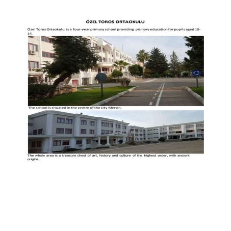 öZel toros ortaokulu e twinning smart math | DOCX