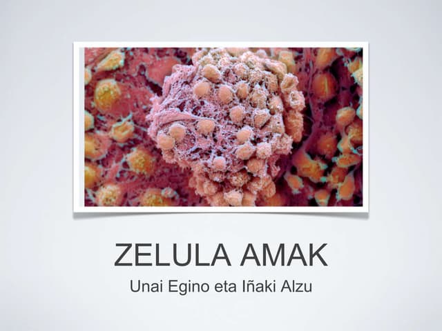 Zelula amak | PPTX