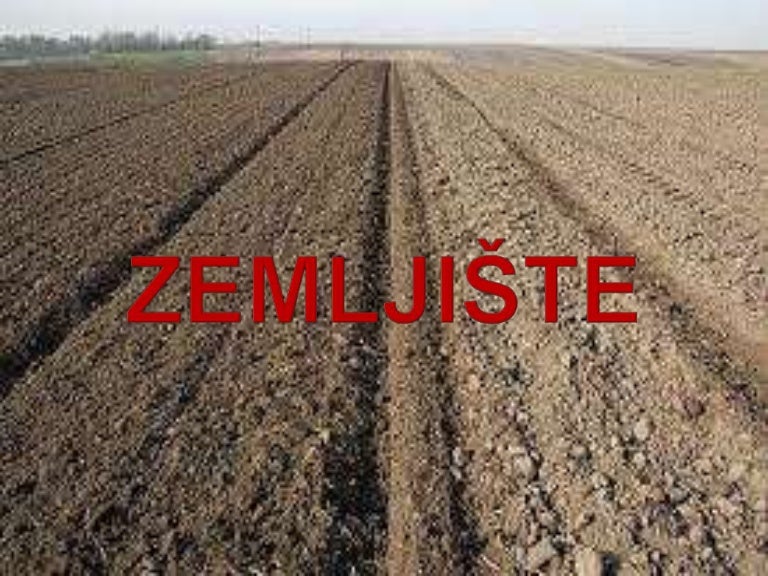 Zemljiste