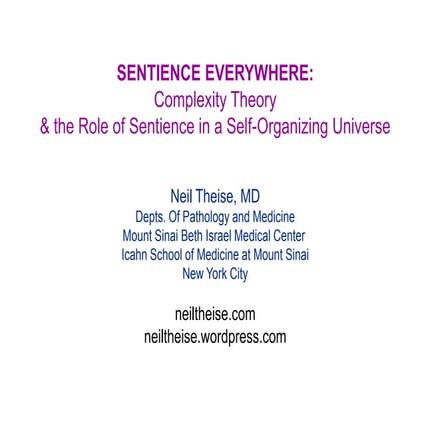 Sentience Everywhere: Complexity and the Role of Sentience in a Self ...