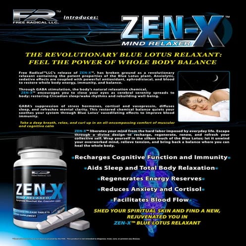 Zen flyer | PDF