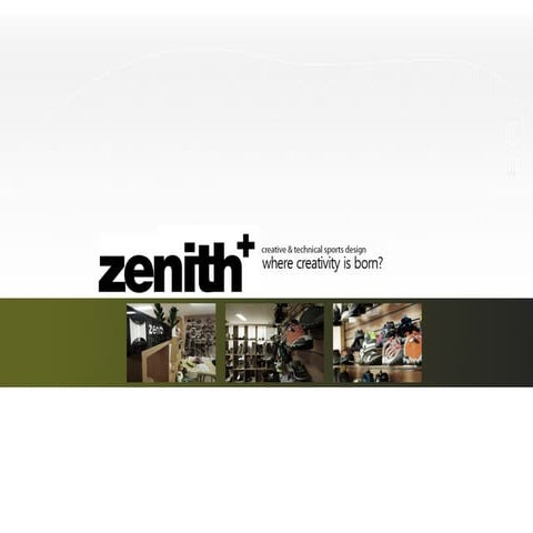 Zenith plus ltd profile | PPT