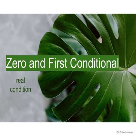 Zero and First Conditional, practice tasks | PPT