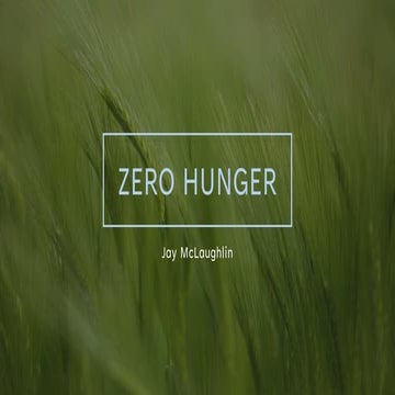 Zero Hunger.pdf