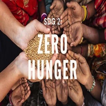 Sustainable Development Goals - zero hunger | PPTX