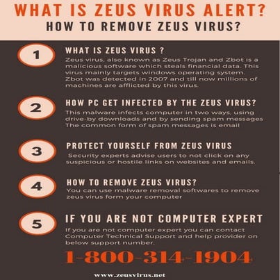 Zeus Virus | PDF