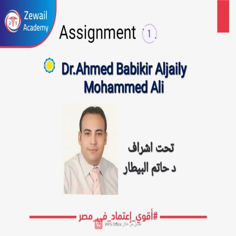 zewail assignment _drhatem elbitar instructor (3).pdf