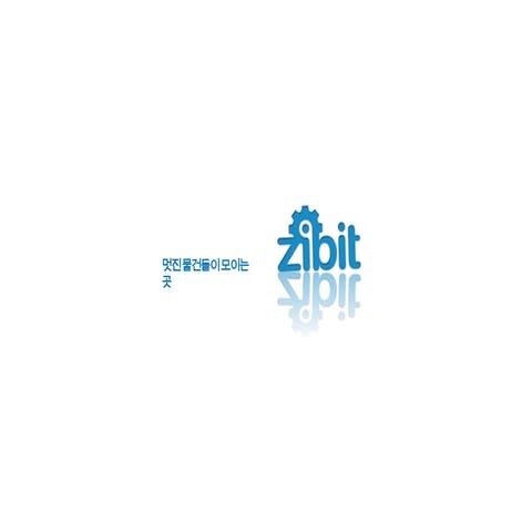 about SNS 'zibit' | PPT