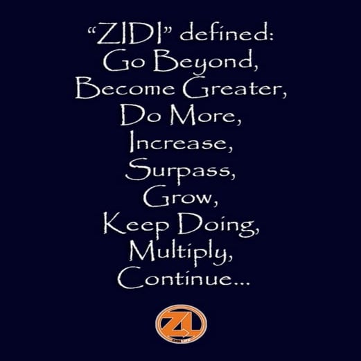 ZIDILIFE, "ZIDI" defined | PDF