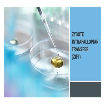 zygote interfelloporin transfer. Z*FT ppt | PDF | Pregnancy ...
