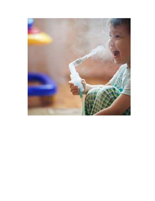 WHY USE ZIGORA PORTABLE STEAM COMPRESSOR? | PDF