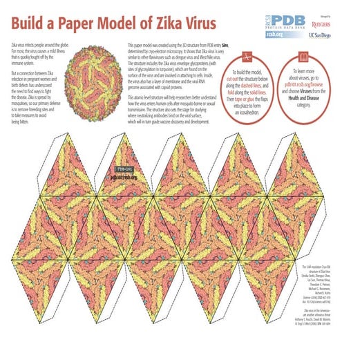 modelo zika virus papercraft recorte e cola | PPT | Free Download