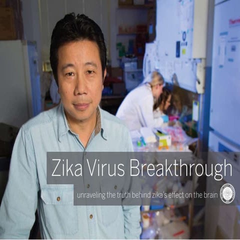 FSU makes Zika breakthrough | PPTX