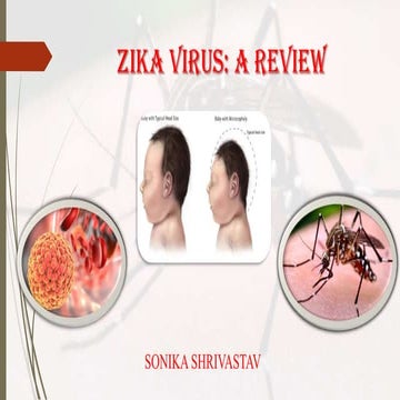 Presentation - Zika Fever Awareness and Education_20251209_110038_0000.pptx