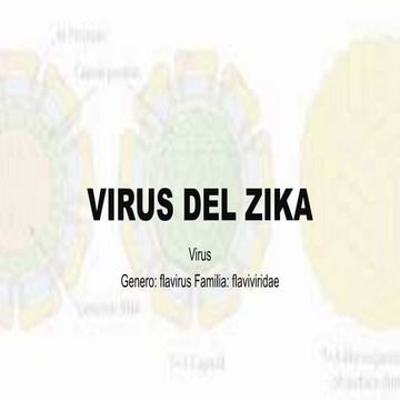 Zika virus | PPTX