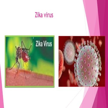 Zika virus | PPTX