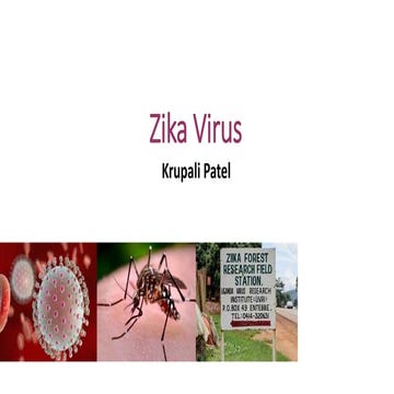zika virus.pptx