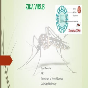 zika virus.pptx