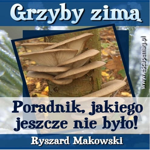 Zimą na grzyby | PDF