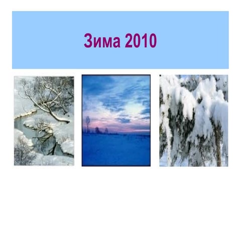 Zima | PPT