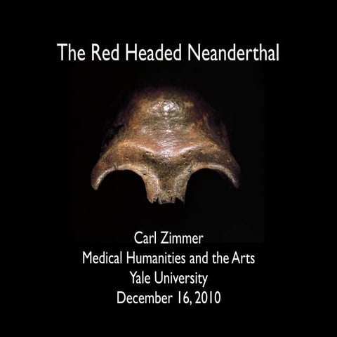 The Red Headed Neandertal | KEY