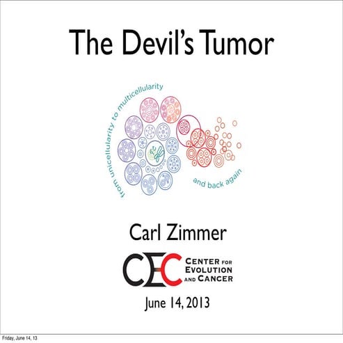 REGULATION OF P53 ACTVITIES IN CANCER | PPTX