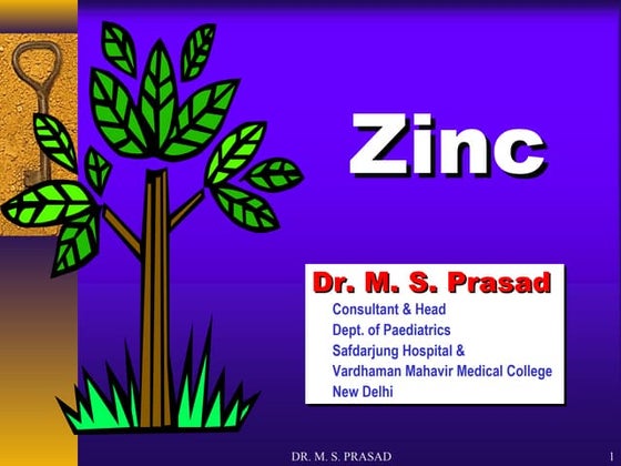 Zinc presentation (1) | PPT