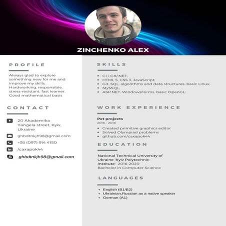 Zinchenko alex cv | PDF