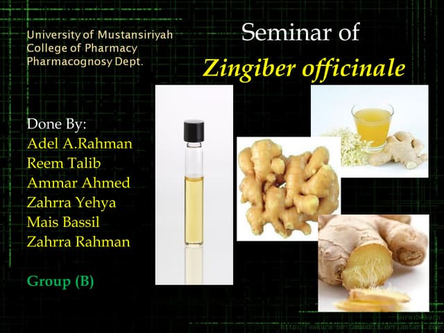 09.Morphology and microscopy of Ginger.ppt