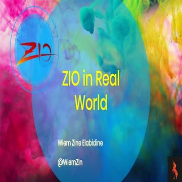 Zio in real world | PPT