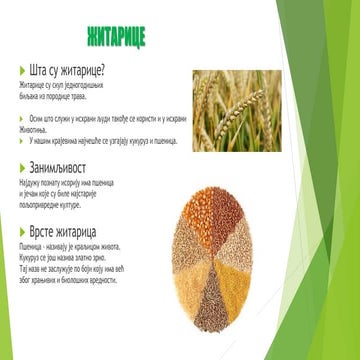 Žitarice | PPTX