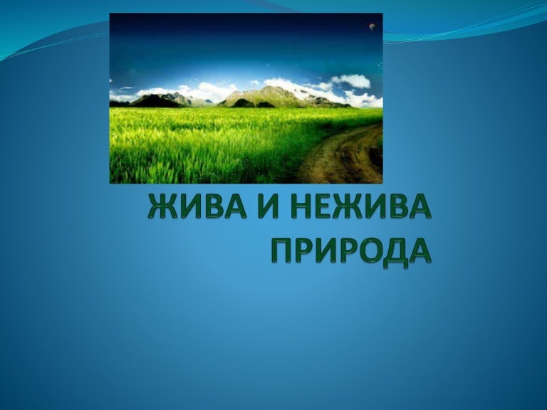 Ziva i neziva priroda