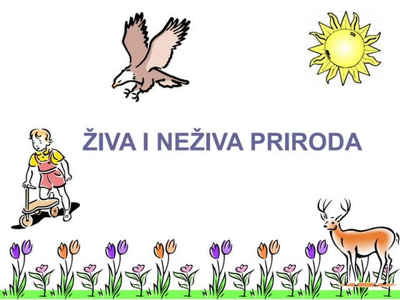 Priroda- živa i neživa | PPTX