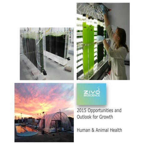 Zivo | PDF | Veterinary Medicine | Pets