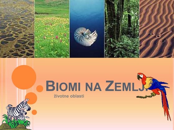 Adaptacije i-zivotne-forme | PPT