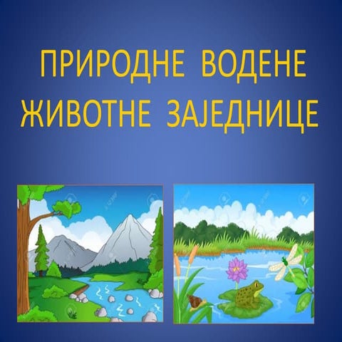34. zivot u vodi uslovi zivota i adaptacije | PPTX