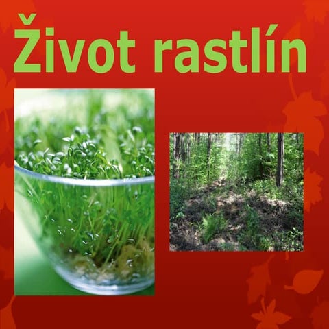 Život Rastlín 3. ročník pre Základné Školy na Slovensku | PPTX