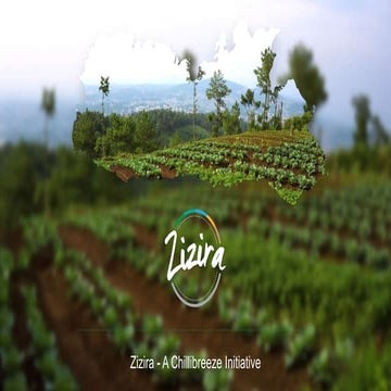 Zizira - A Chillibreeze Initiative | PPTX | Agriculture | Industries