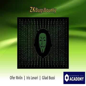 Zk bug bounty | PDF