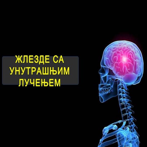 Zlezde unutrasnje lucenje | PPT