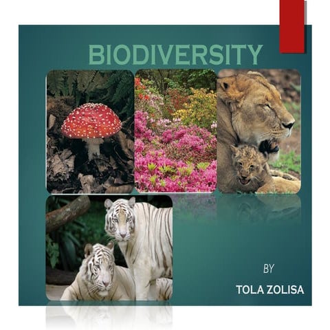 Biodiversity & Conservation | PPT