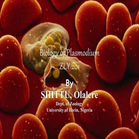 Life Cycle of Plasmodium. | PPTX