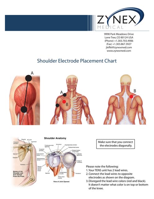ZMPCZM017000.12.03 Neuromove Electrode placement chart | PDF