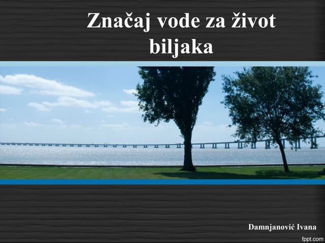 1. Vodni rezim biljaka. promet vode kroz biljku | PPTX