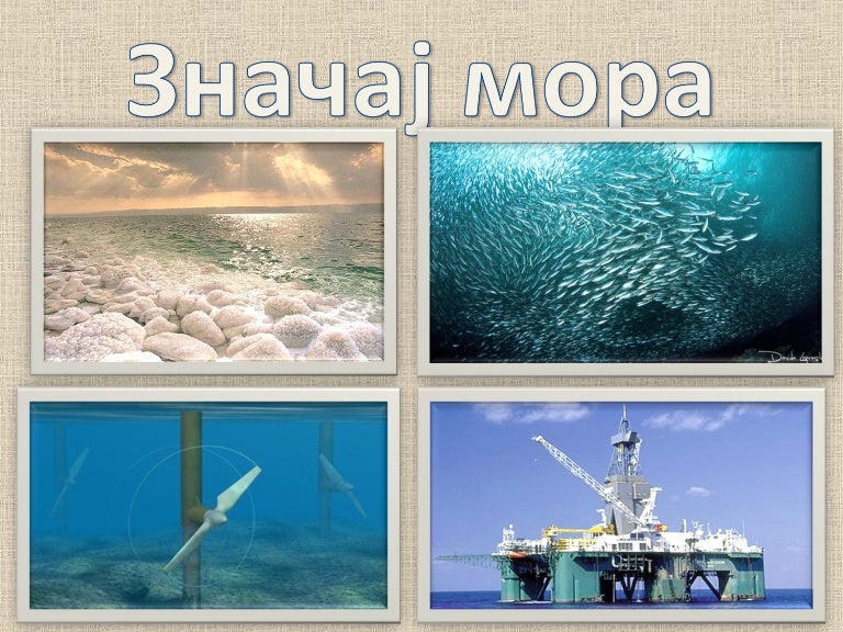 Значај и загађење мора