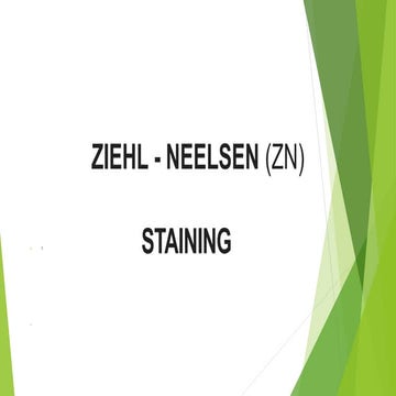 Zn Staining , morphology and different types. | PPTX