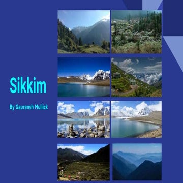 Sikkim Project File (presentation) | PPTX