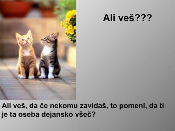 Blondinka na kvizu | PPS