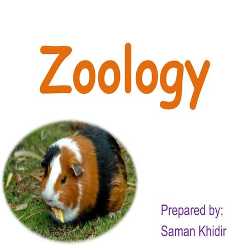 a simple presentation about Zoology | PPT