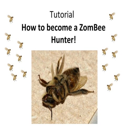 ZomBee Watch Tutorial | PPT